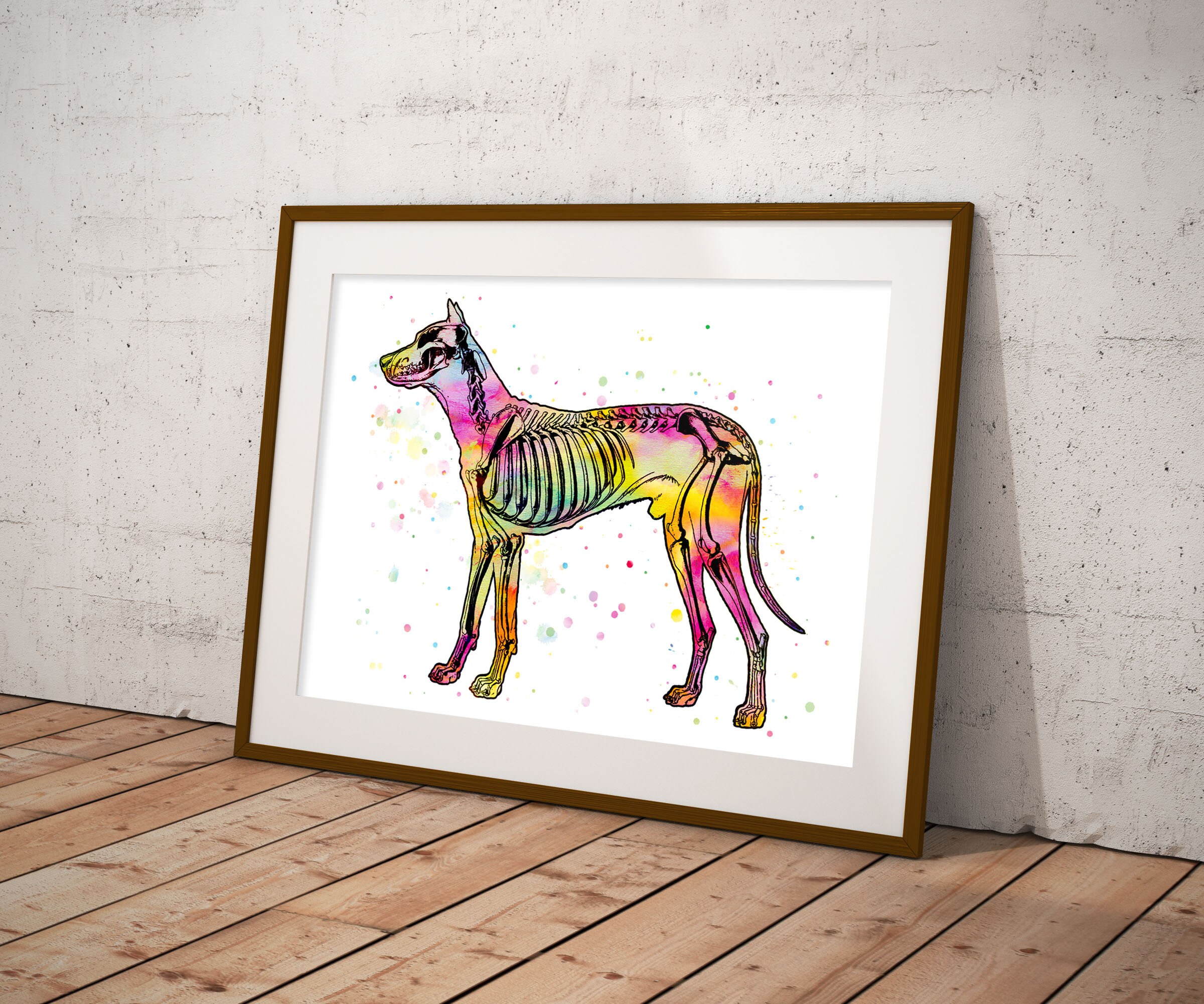 Veterinary Clinic Decor Dog Anatomy Print Canine Skeletal - Etsy