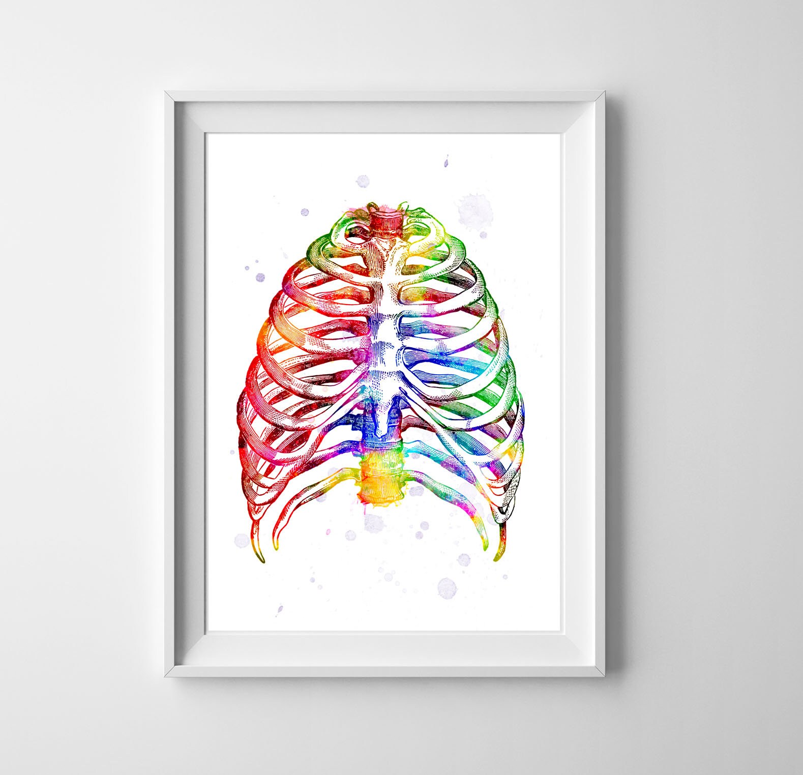Rib Cage Poster Anatomy Art Medical Art Print Medical - Etsy