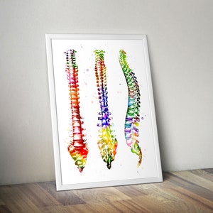 Spine Art Print, Human Spine Anatomy Art, Medical Poster, Vertebral ...
