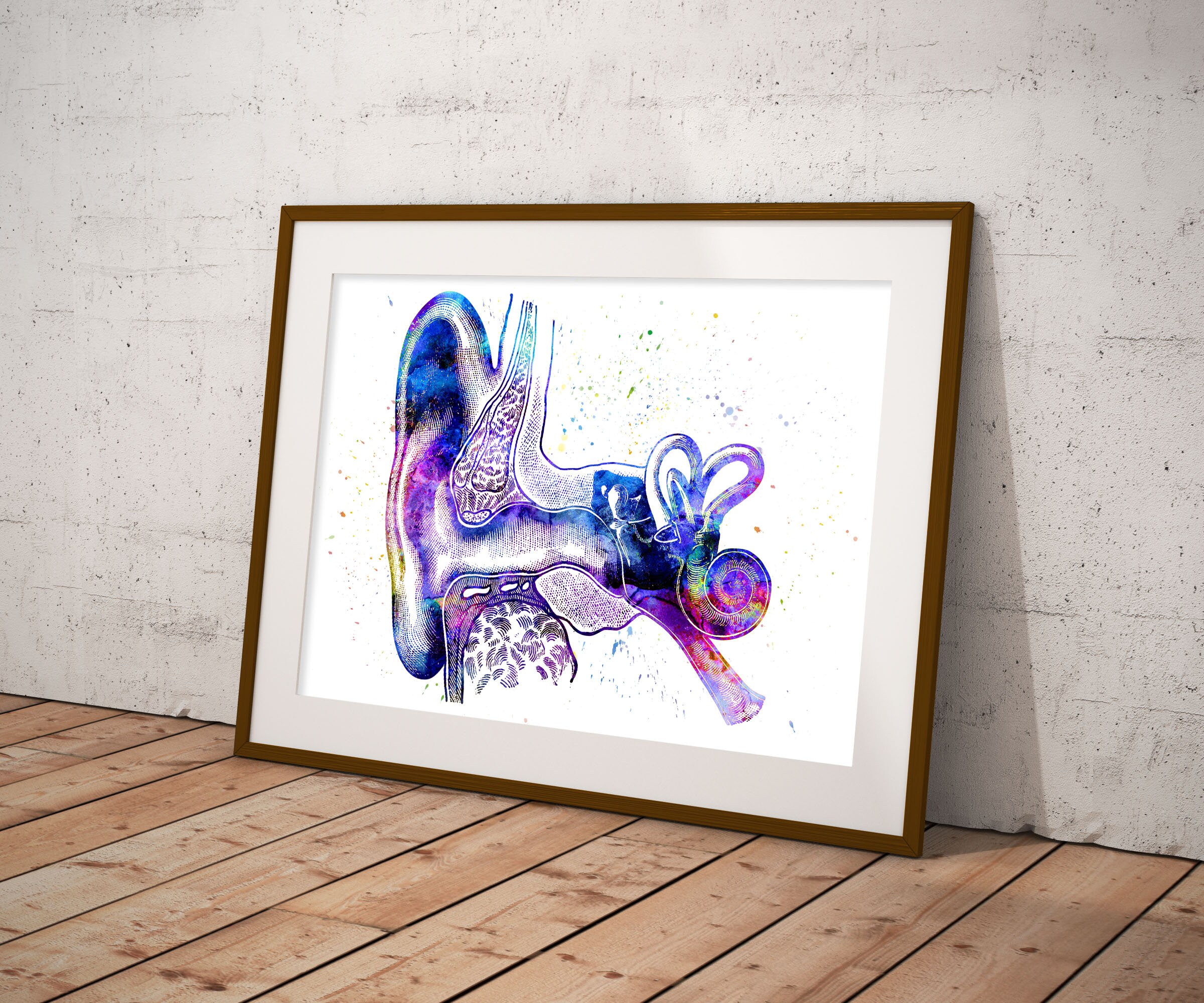 Ear Anatomy Art Print Audiologist Gift Audiology Wall Art | Etsy