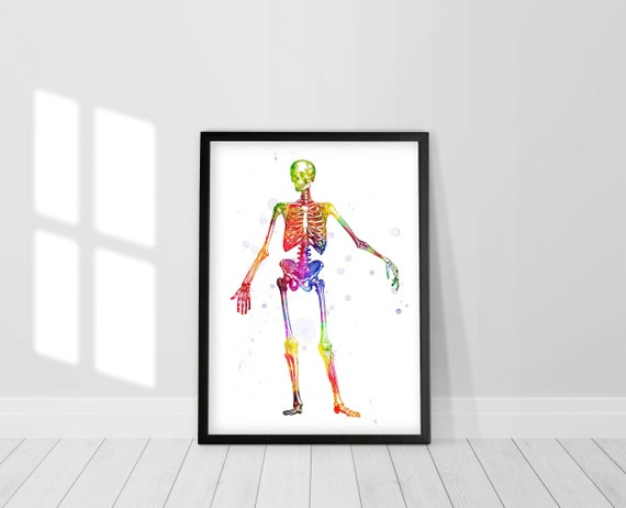 Human Skeleton Anatomy Poster Medical Student Gift Medical | Etsy