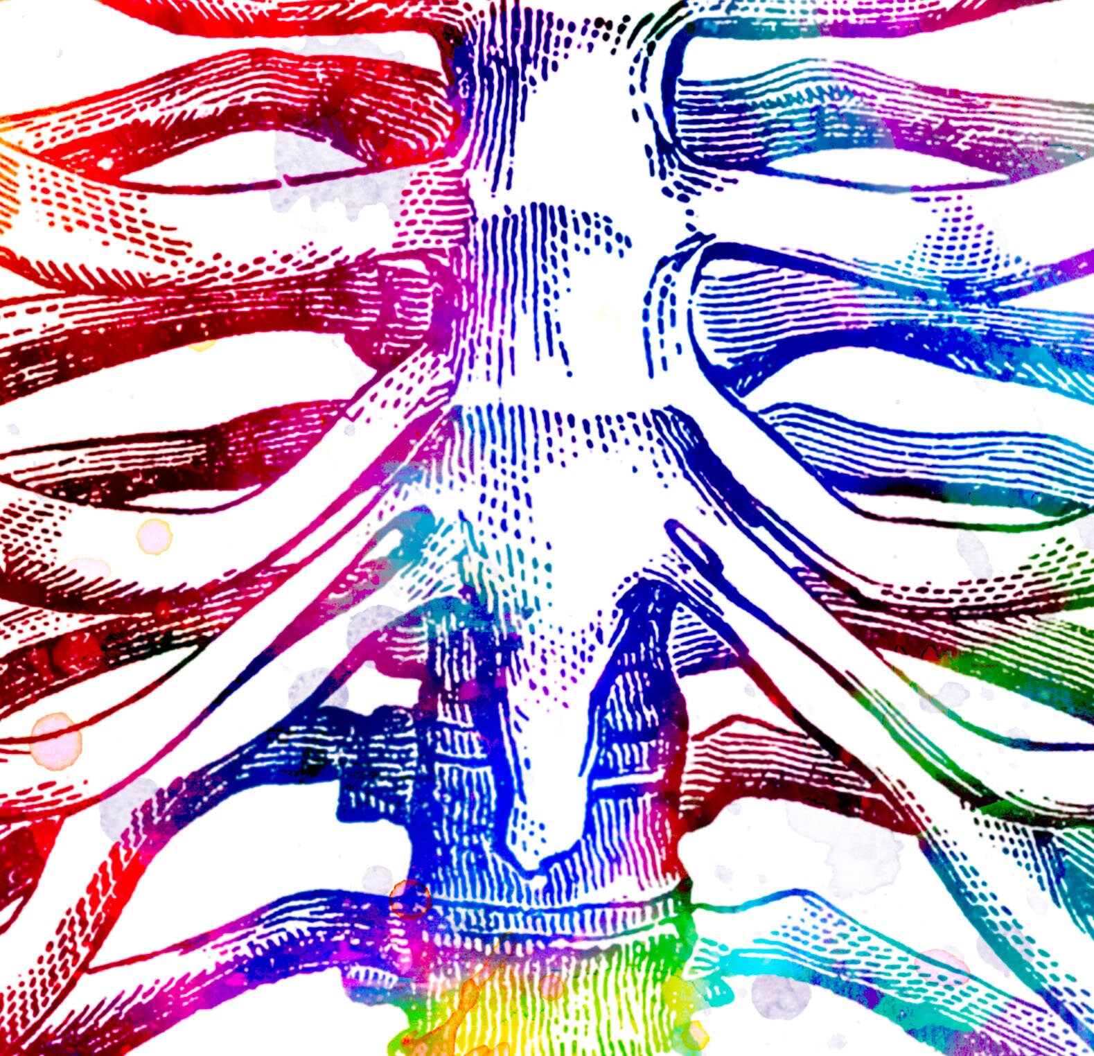 Rib Cage Poster Anatomy Art Medical Art Print Medical - Etsy