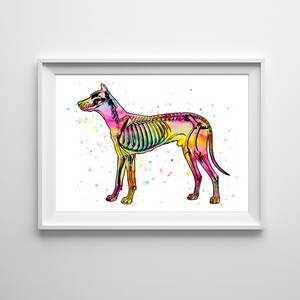 Veterinary Clinic Decor, Dog Anatomy Print, Canine Skeletal System Wall ...