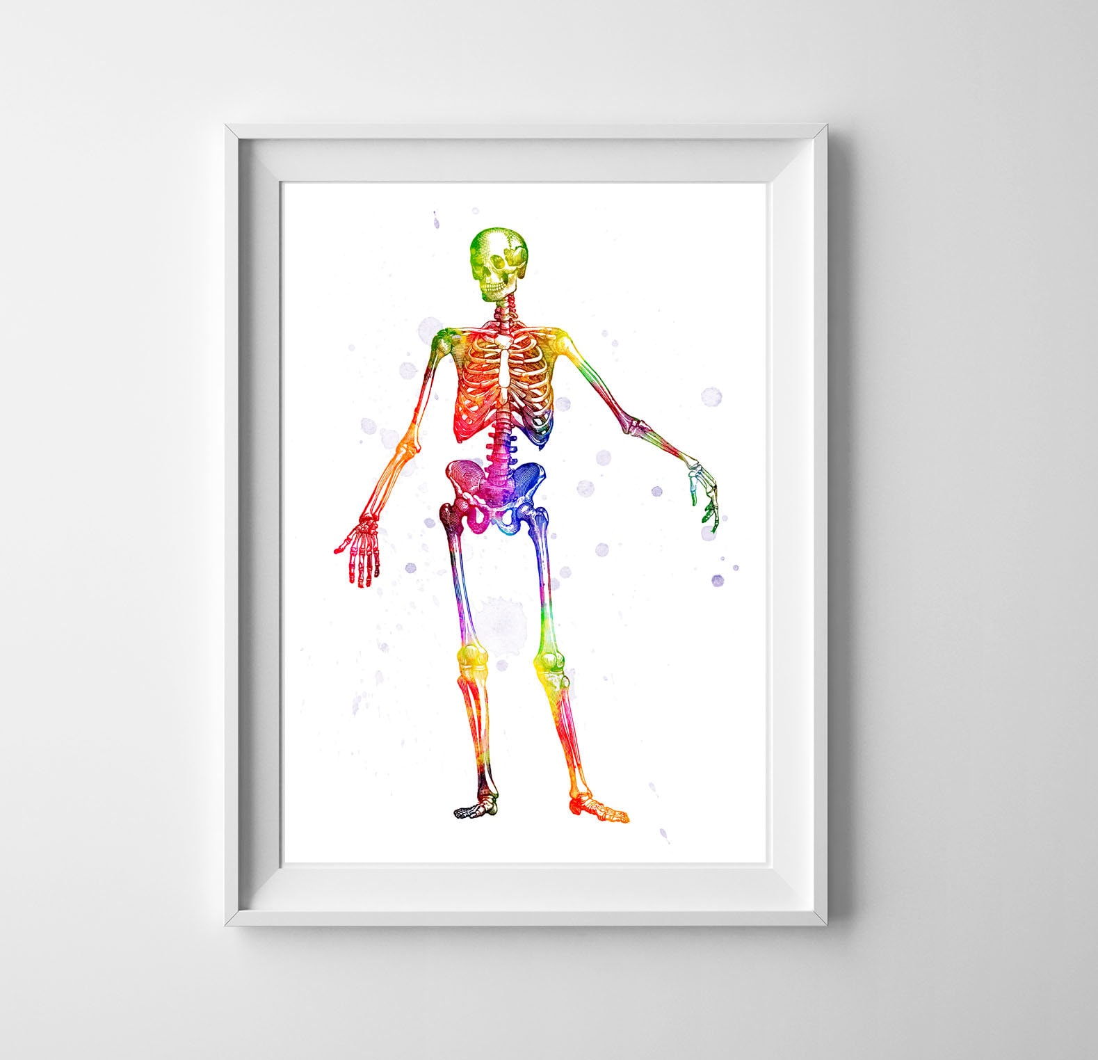 Human Skeleton Anatomy Poster Medical Student Gift Medical | Etsy