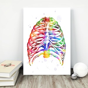 Rib Cage Poster, Anatomy Art, Medical Art Print, Medical Student Gift ...