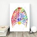 Rib Cage Poster Anatomy Art Medical Art Print Medical - Etsy