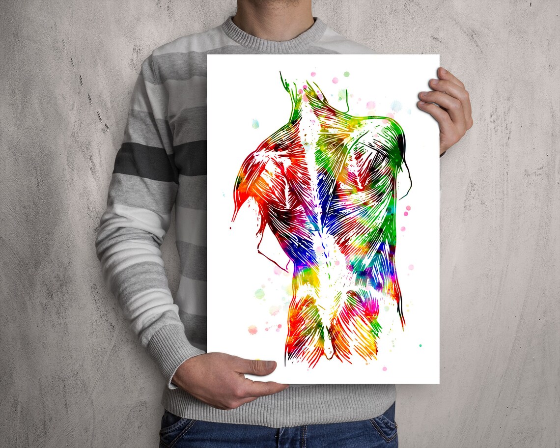 Muscles of Back Anatomy Print Human Anatomy Art Back Muscle - Etsy