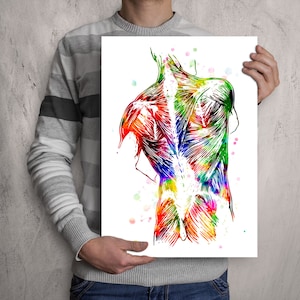 Muscles of Back Anatomy Print, Human Anatomy Art, Back Muscle Anatomy ...