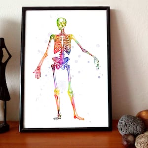 Human Skeleton Anatomy Poster, Medical Student Gift, Medical Office ...