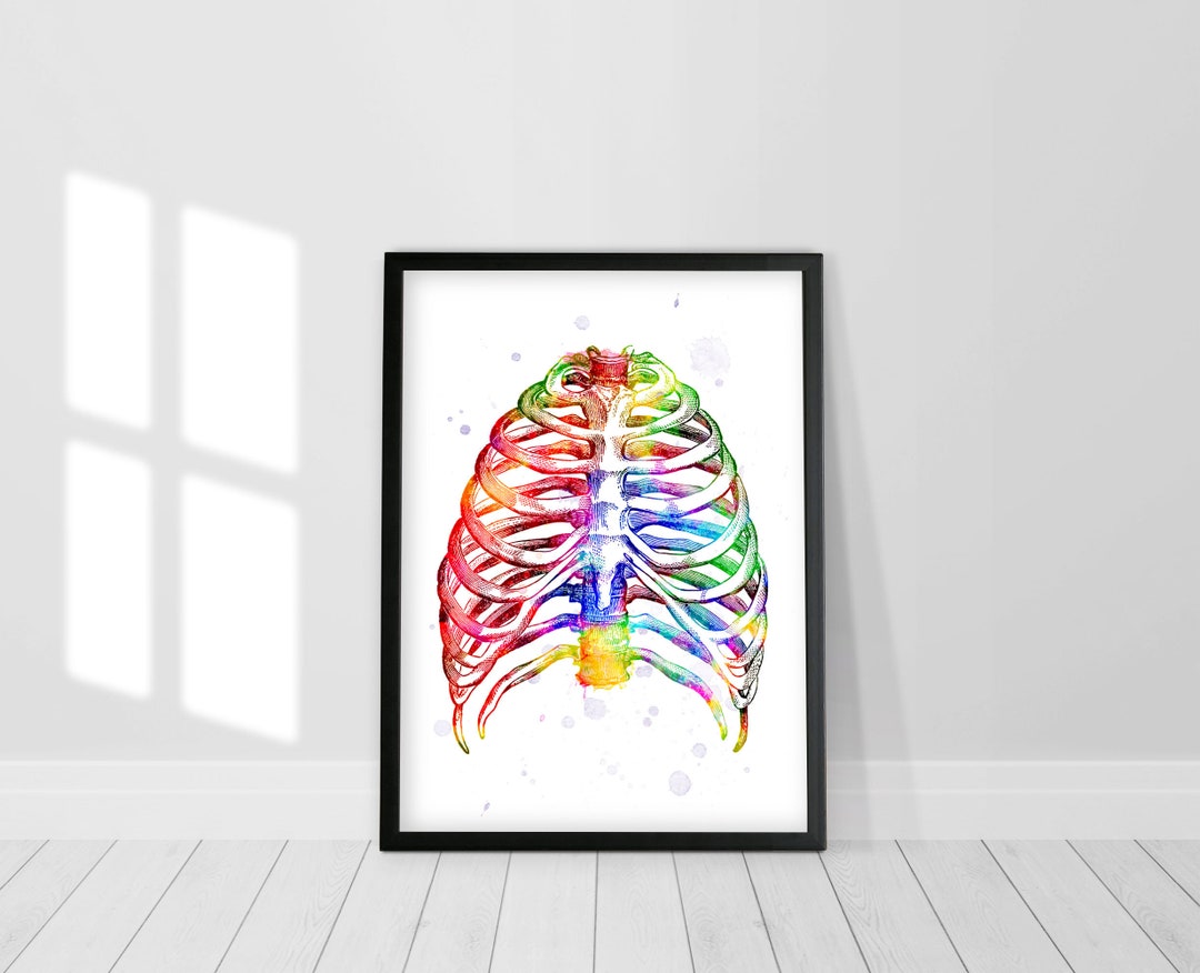 Rib Cage Poster, Anatomy Art, Medical Art Print, Medical Student Gift ...