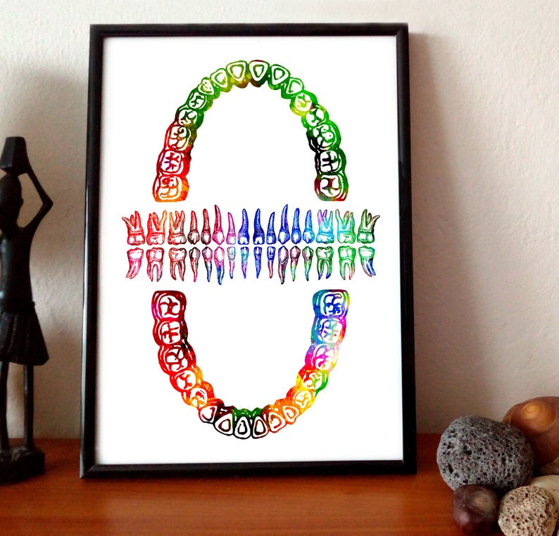 Human Teeth Watercolor Art Tooth Chart Print Dentist Gift - Etsy
