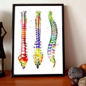 Spine Art Print, Human Spine Anatomy Art, Medical Poster, Vertebral ...