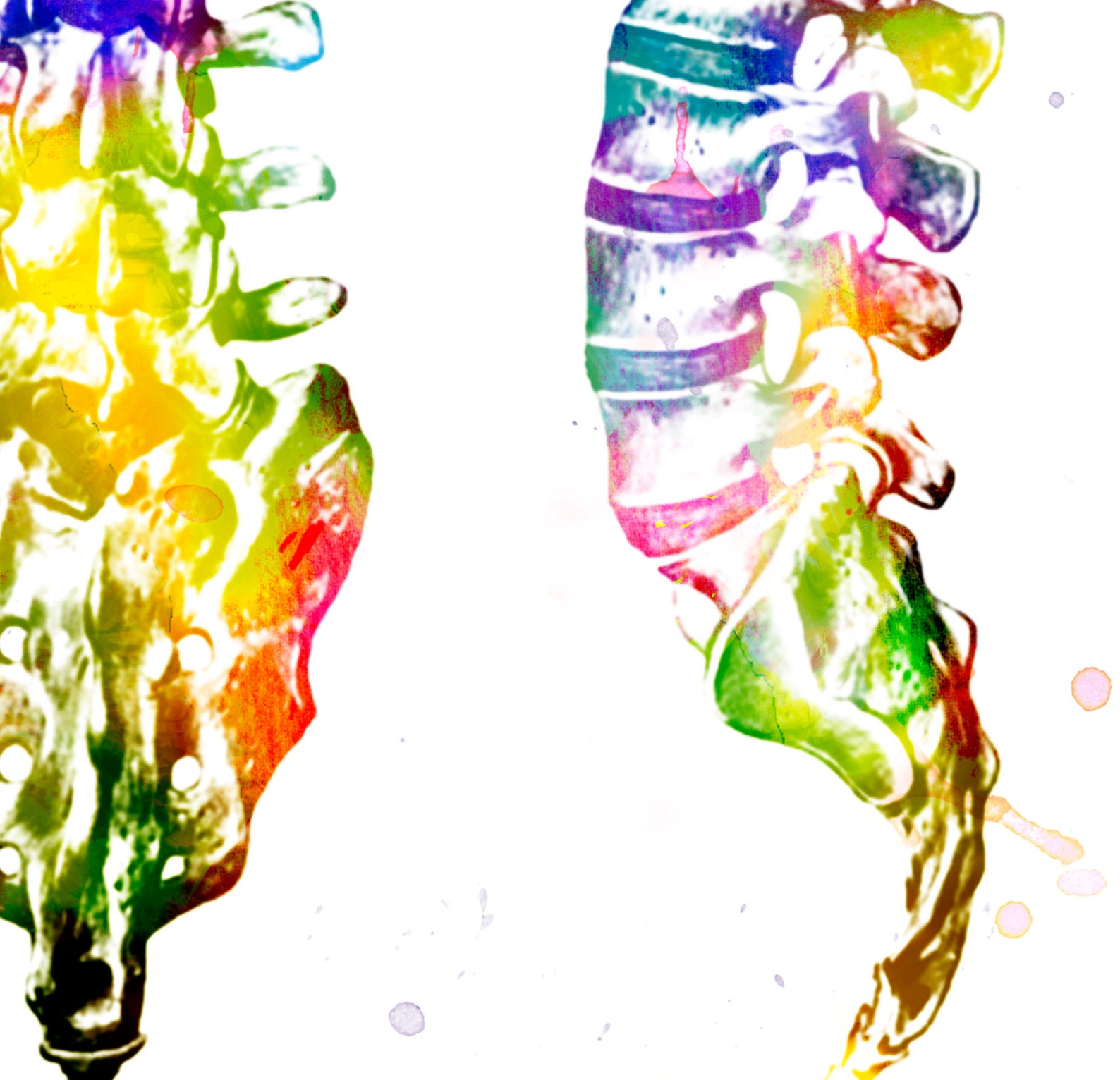 Spine art print Human spine anatomy art Medical poster | Etsy