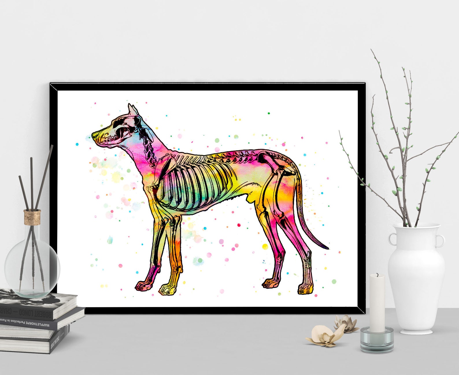 Veterinary Clinic Decor Dog Anatomy Print Canine Skeletal - Etsy