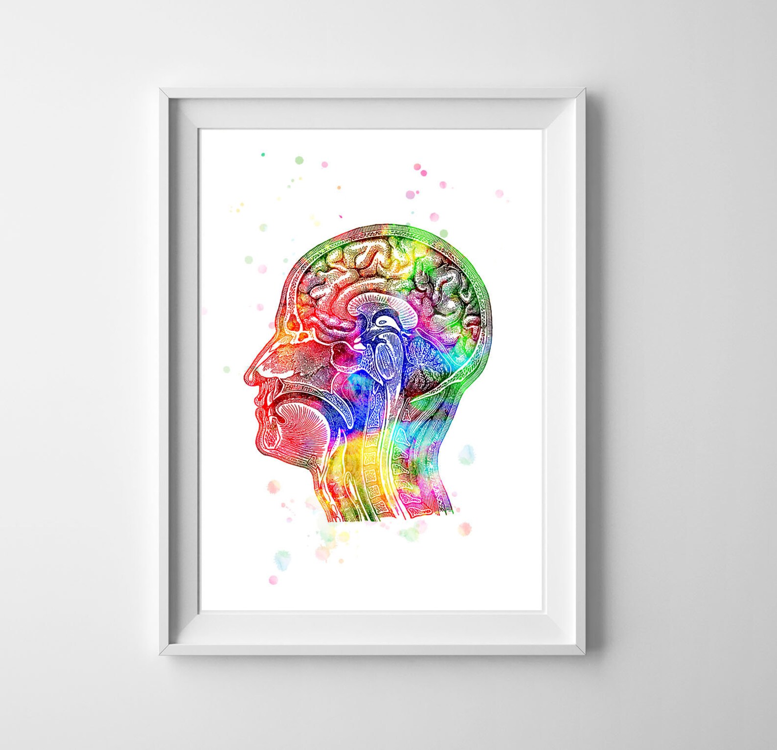 Human Head Art Print Anatomy Poster Medical Poster | Etsy