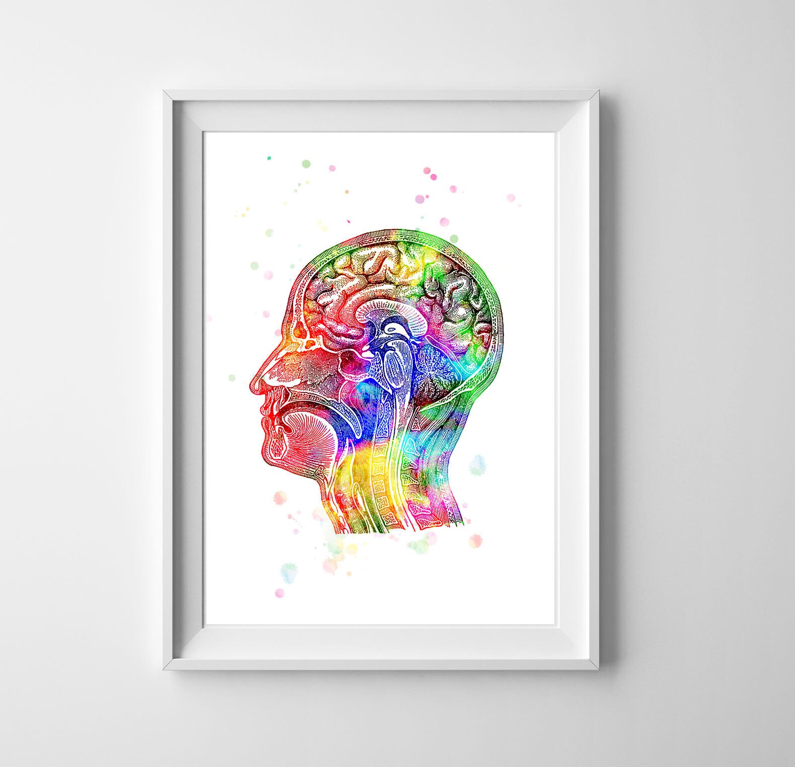 Human Head Art Print Anatomy Poster Medical Poster - Etsy