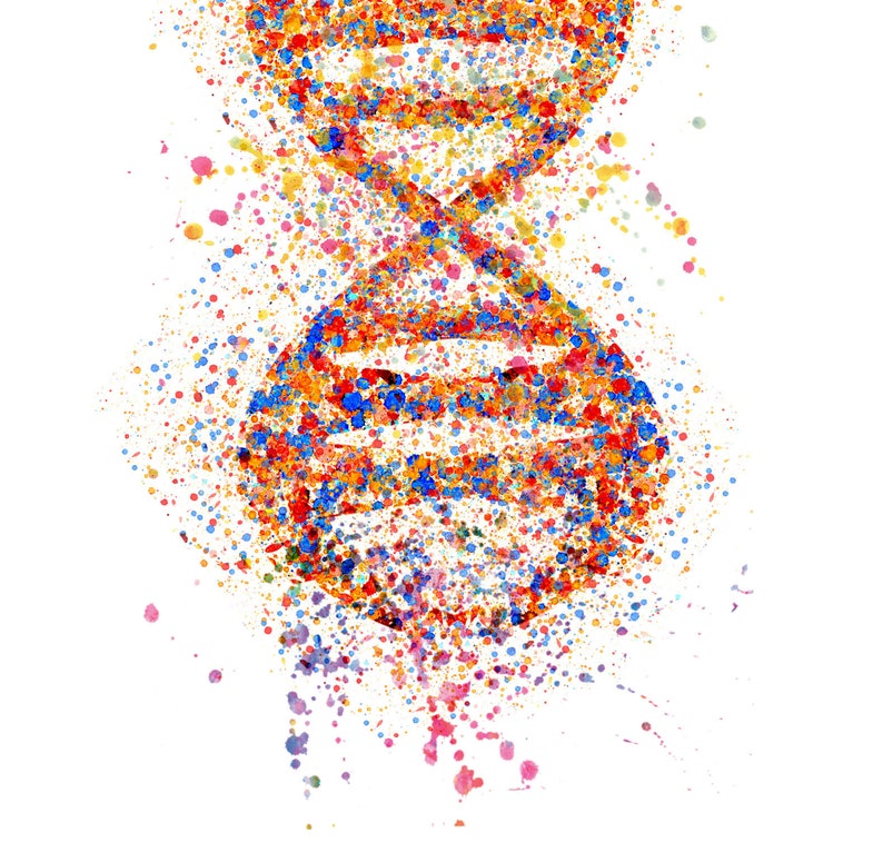 DNA Art Human DNA Print Human Body System Molecular Print - Etsy