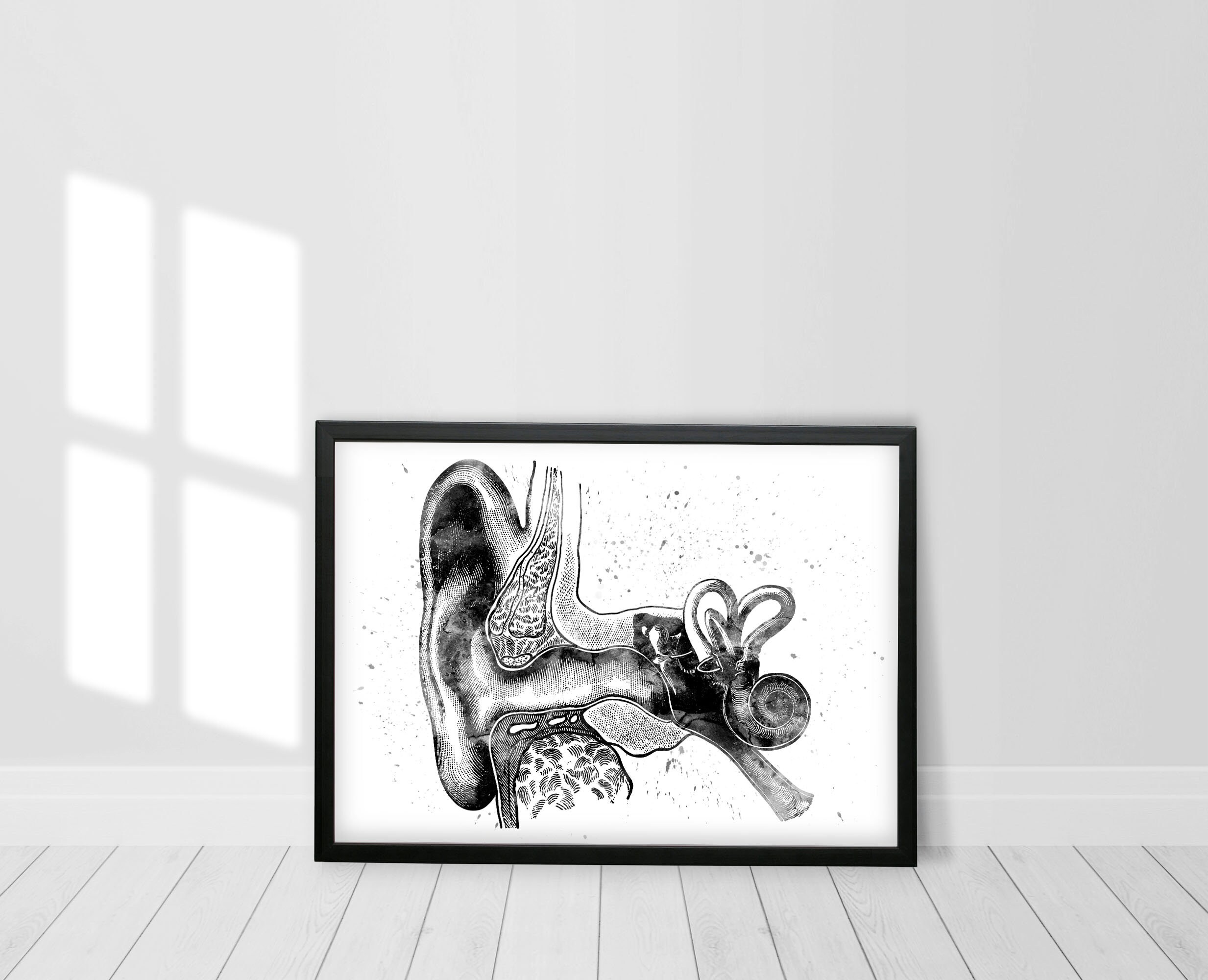 Ear Anatomy Art Print Audiologist Gift Audiology Wall Art - Etsy