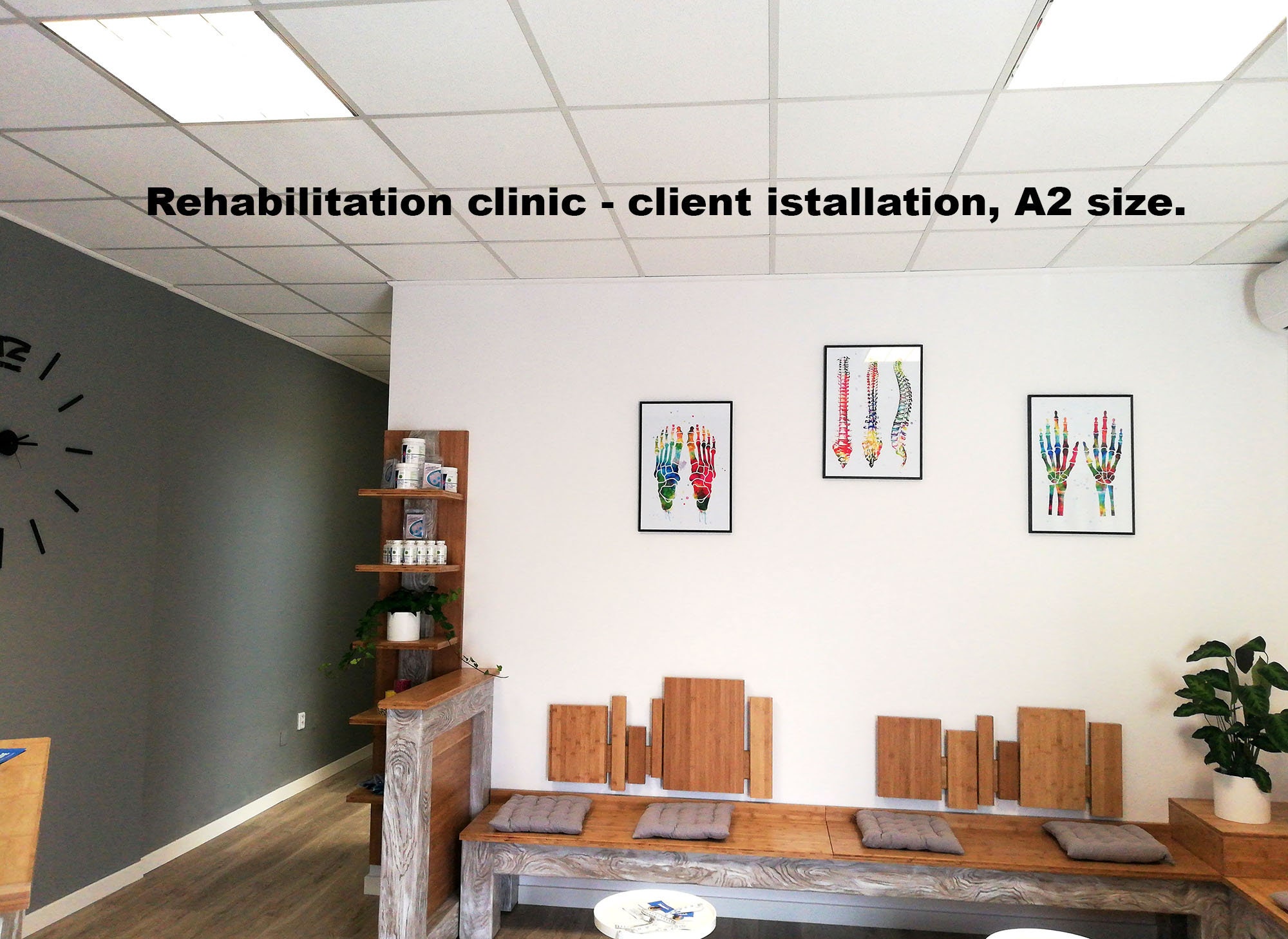 Human Head Art Print Anatomy Poster Medical Poster - Etsy