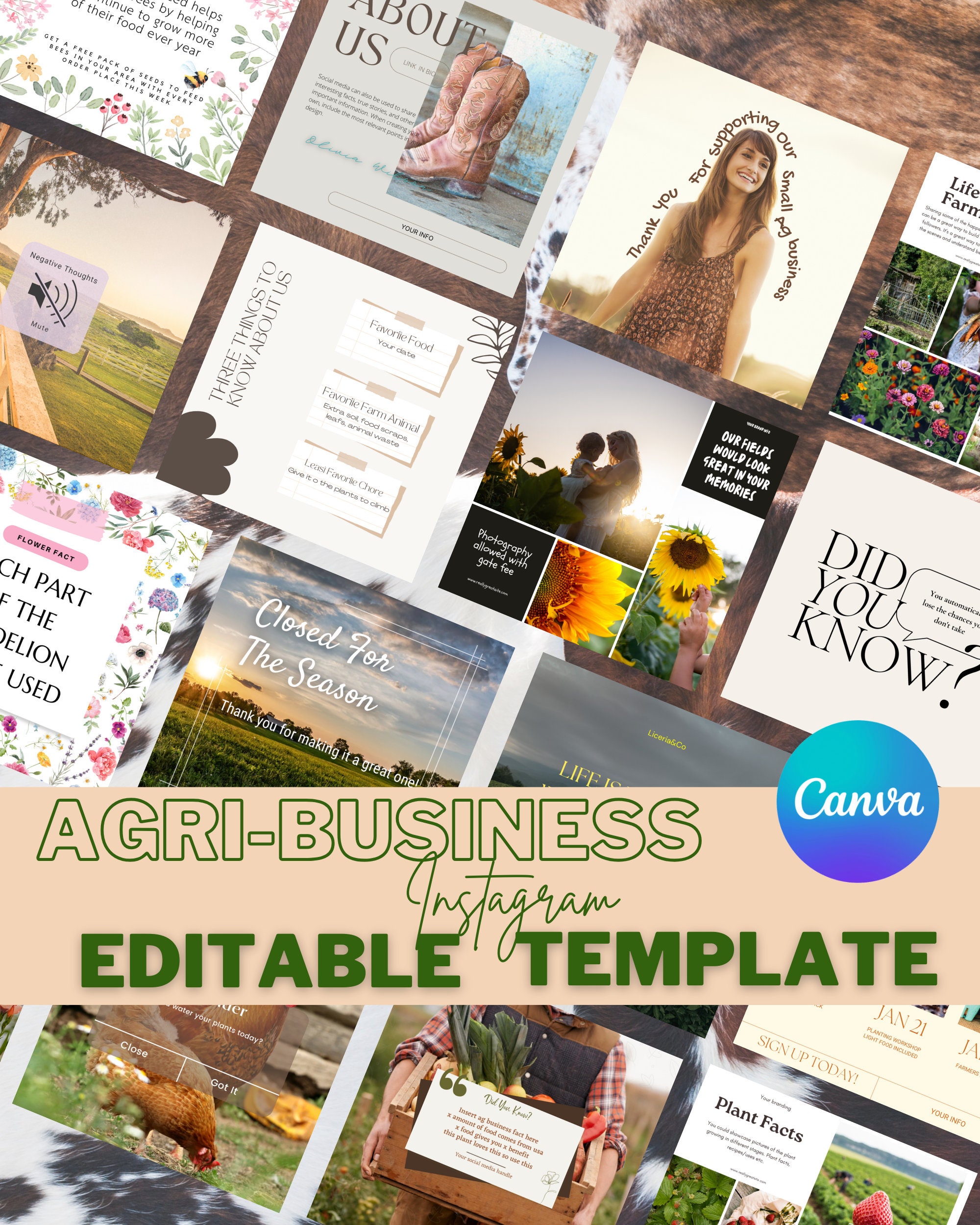 Farm Instagram Canva Template Flower Farm Social Media Farmstand Social ...