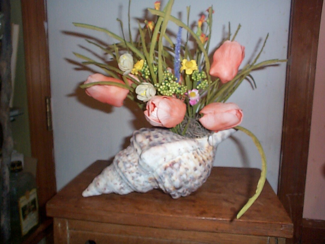 Real Seashell Floral Arrangement Stripped Tulip Seashell Peach Colored ...