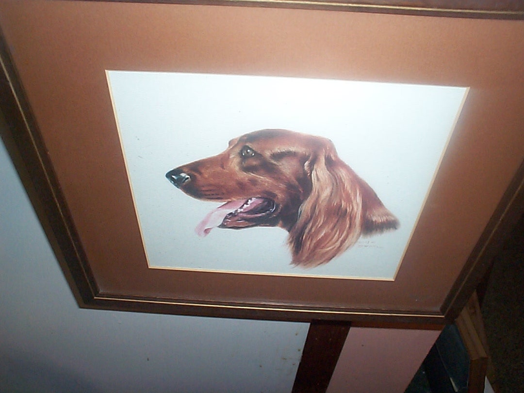 Irish Setter Dog Picture Print Artist Signed Nicely Framed and Matted ...