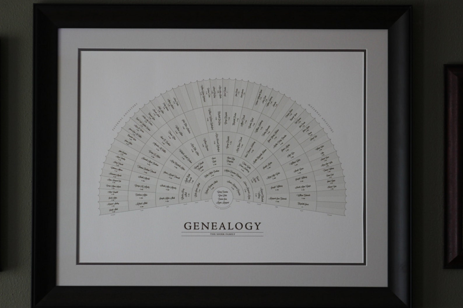 Genealogy Fan Chart — Adobe Illustrator Template - Etsy
