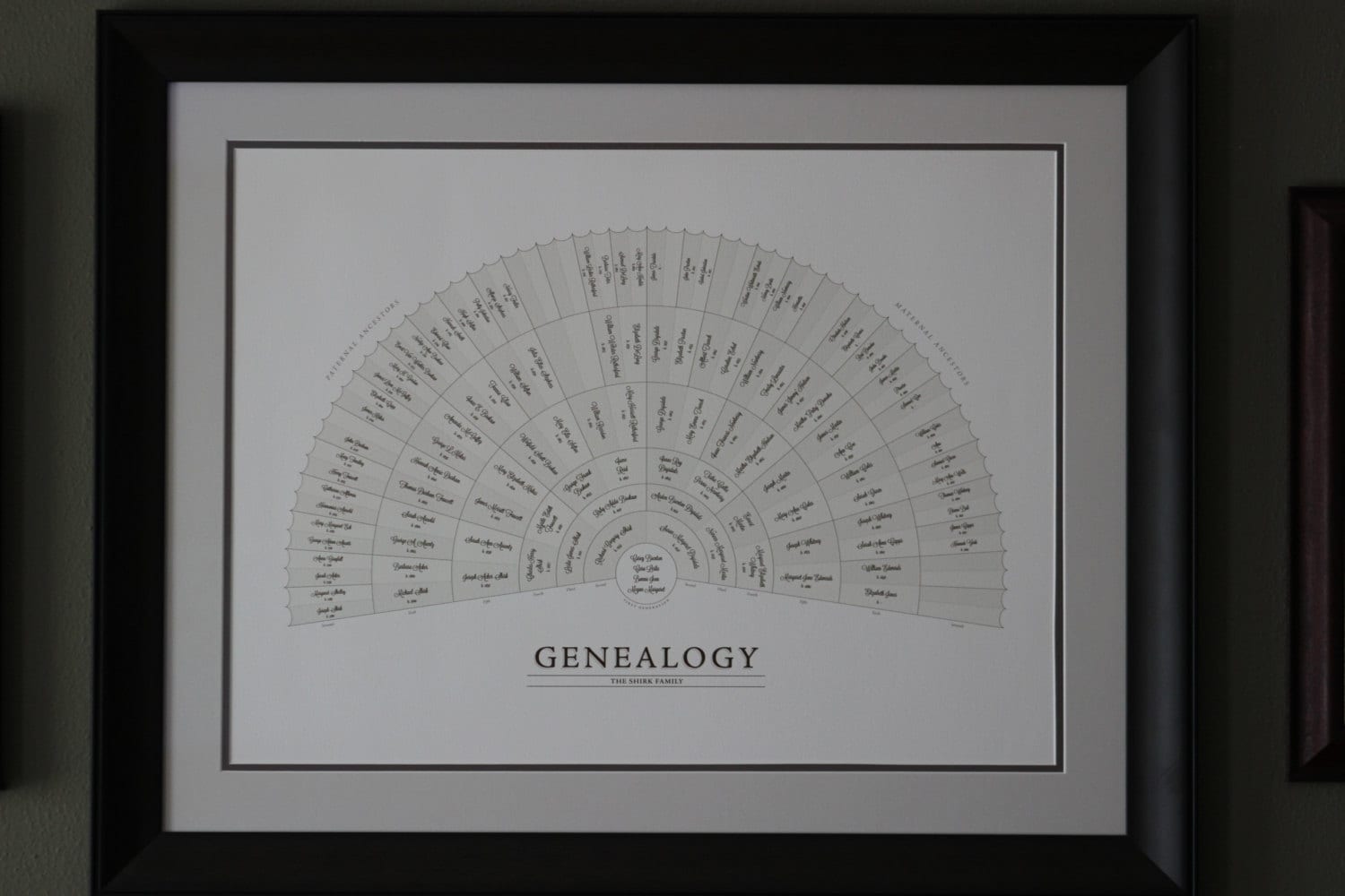 Genealogy Fan Chart — Adobe Illustrator Template - Etsy