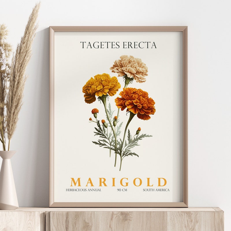 Marigold Print - Etsy