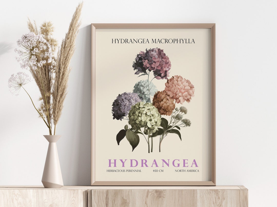 Hydrangea Wall Decor, Hydrangea Digital Print, Botanical Print, Digital ...