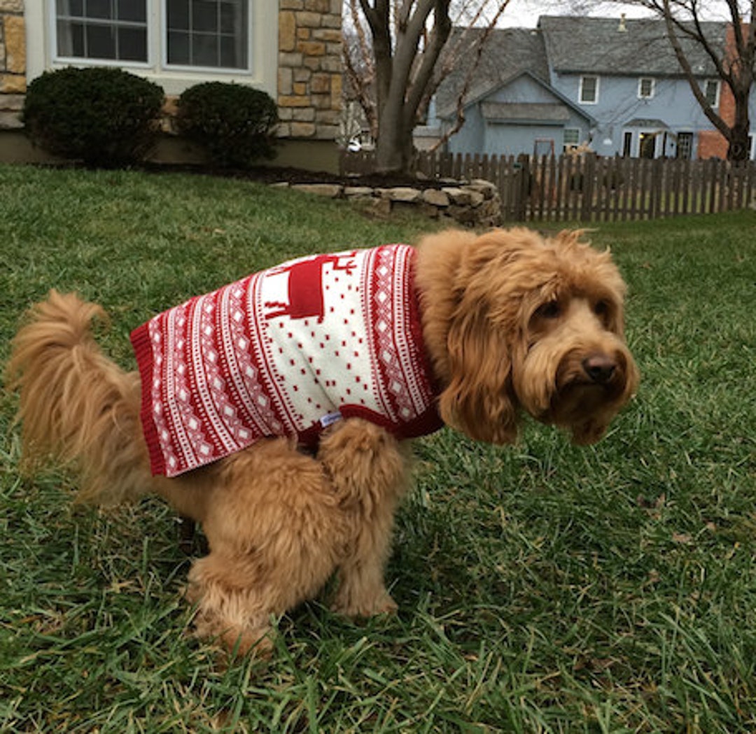 Personalized Pooping Dog Funny Christmas Card #2 - Etsy