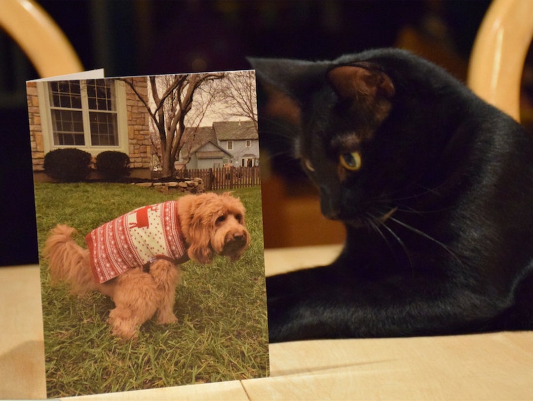 Personalized Pooping Dog Funny Christmas Card 2 - Etsy Personalized Pooping Dog Funny Christmas Card 2 - Etsy