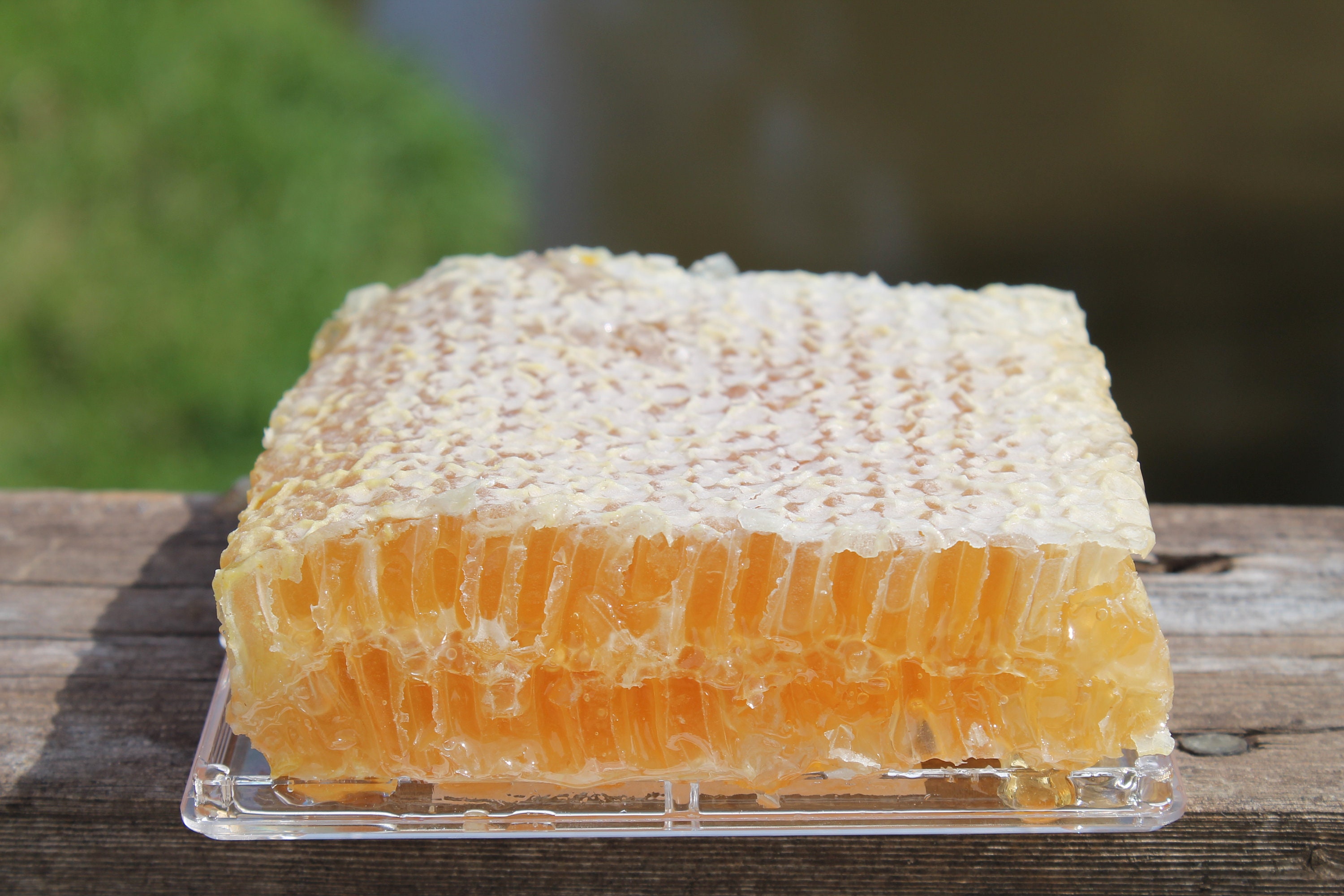 Raw Comb Honey Pure Natural Nebraska Honey one 1lb Cut Comb - Etsy