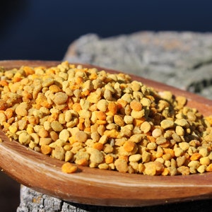 Fresh Bee Pollen Pure Raw Natural Nebraska Bee Pollen 1.5lb Jar - Etsy