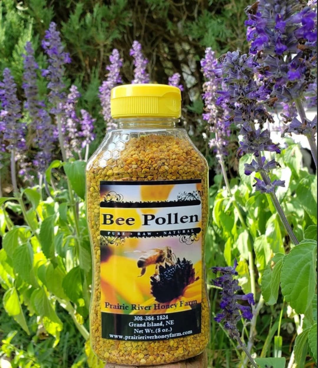 Fresh Bee Pollen Pure Raw Natural Nebraska Bee Pollen 8oz Jar - Etsy