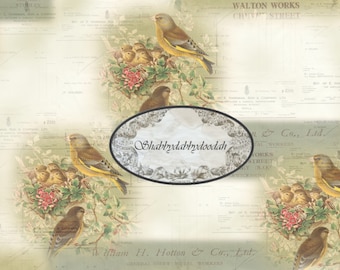 Card Making Happy Birthday & Other Sentiments Themed Set of - Etsy