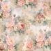 32 Pg the PINK ROSES COLLECTION Beautiful Background Pages Themed ...