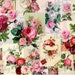 32 Pg the PINK ROSES COLLECTION Beautiful Background Pages Themed ...