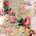 32 Pg the PINK ROSES COLLECTION Beautiful Background Pages Themed ...