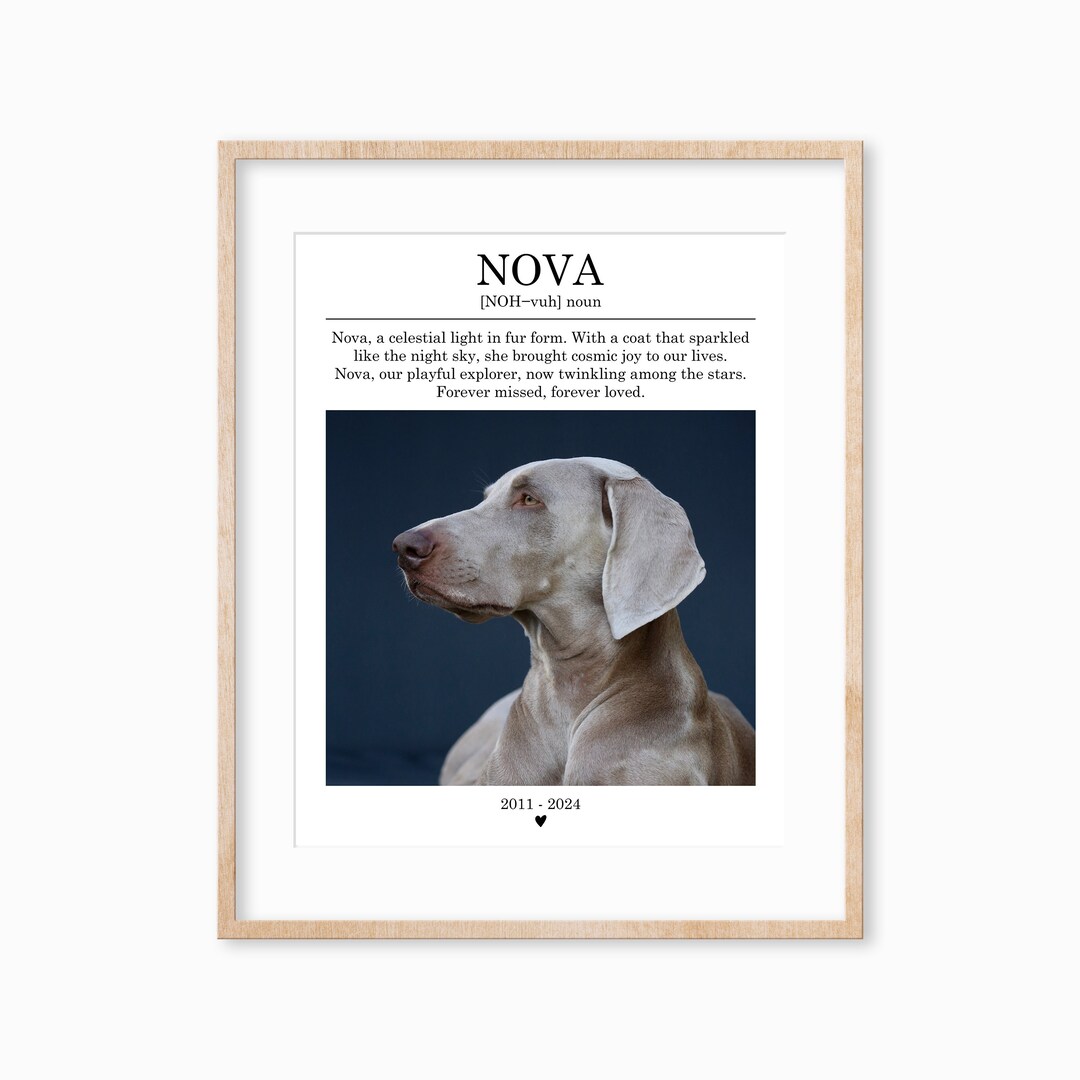 Personalized Pet Definition Print, Customized Art for Dog Lovers, Pet ...