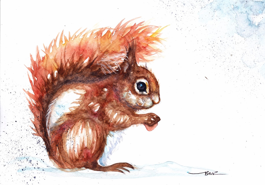 Red Squirrel Wall Art Animal Art Print. - Etsy UK
