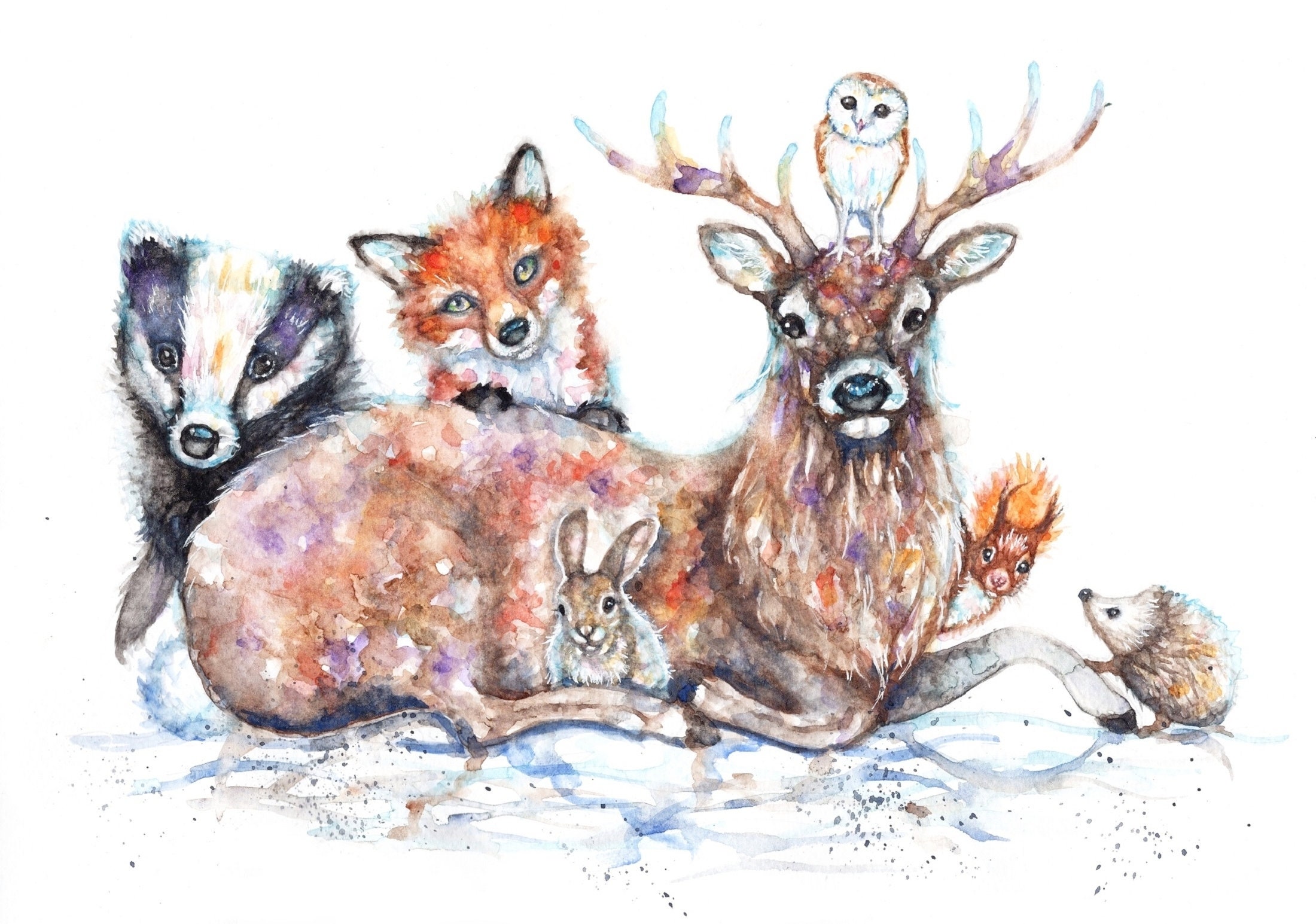 Wildlife Card Set Woodland Animal Greetings Cards Notelets. - Etsy