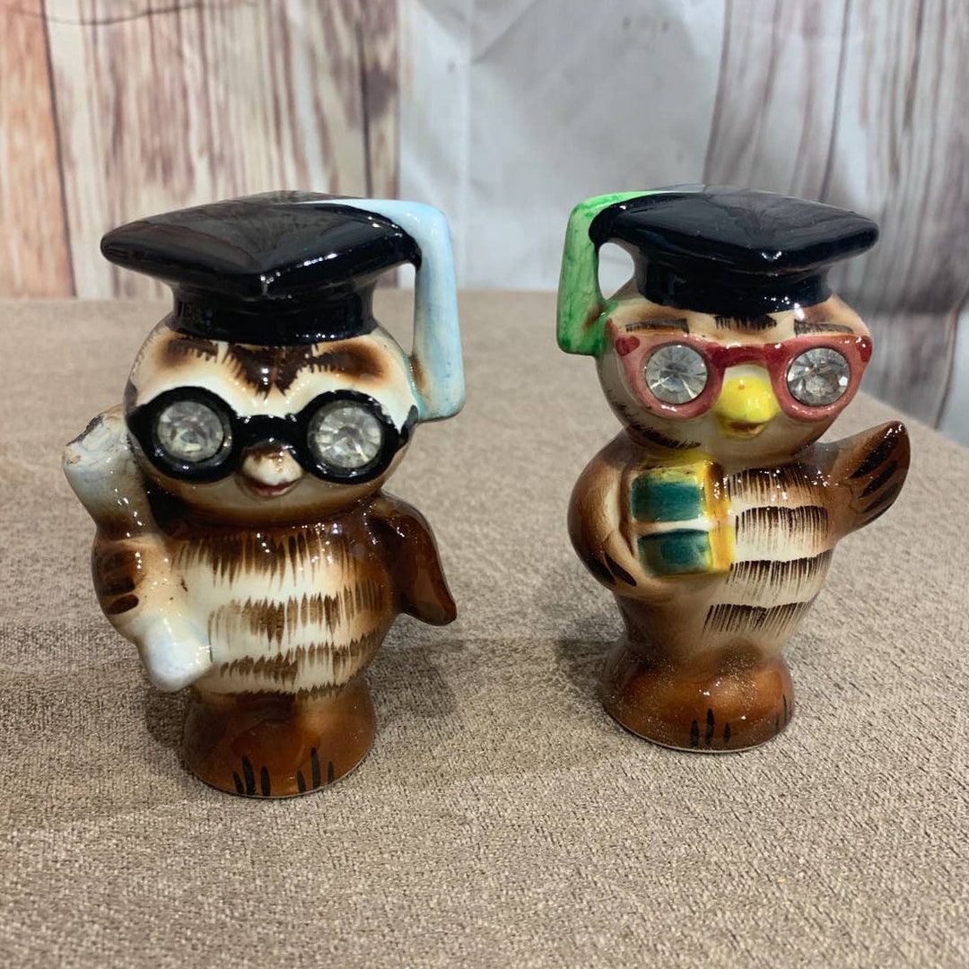 Vintage 1956 Leo Afton Ceramic Graduate Wise Owl Bird Salt Pepper ...