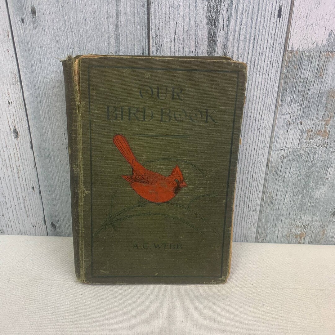 Antique 1917 Our Bird Book School Text Book by A C Webb Color - Etsy