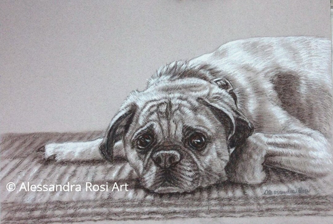Custom Dog Portrait Dog Drawing Pet Portraits Pencil - Etsy