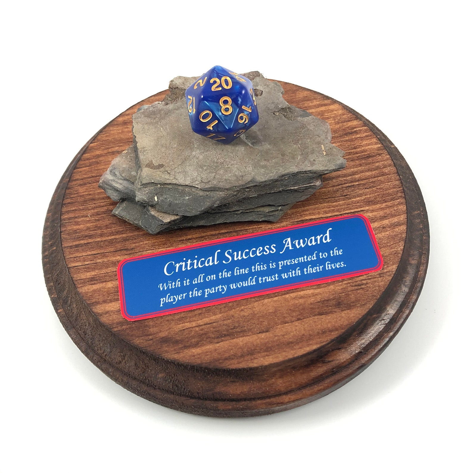 Natural 20 Award / Critical Success Gift Dungeons and - Etsy