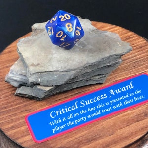 Natural 20 Award / Critical Success Gift Dungeons and Dragons D&D RPG ...