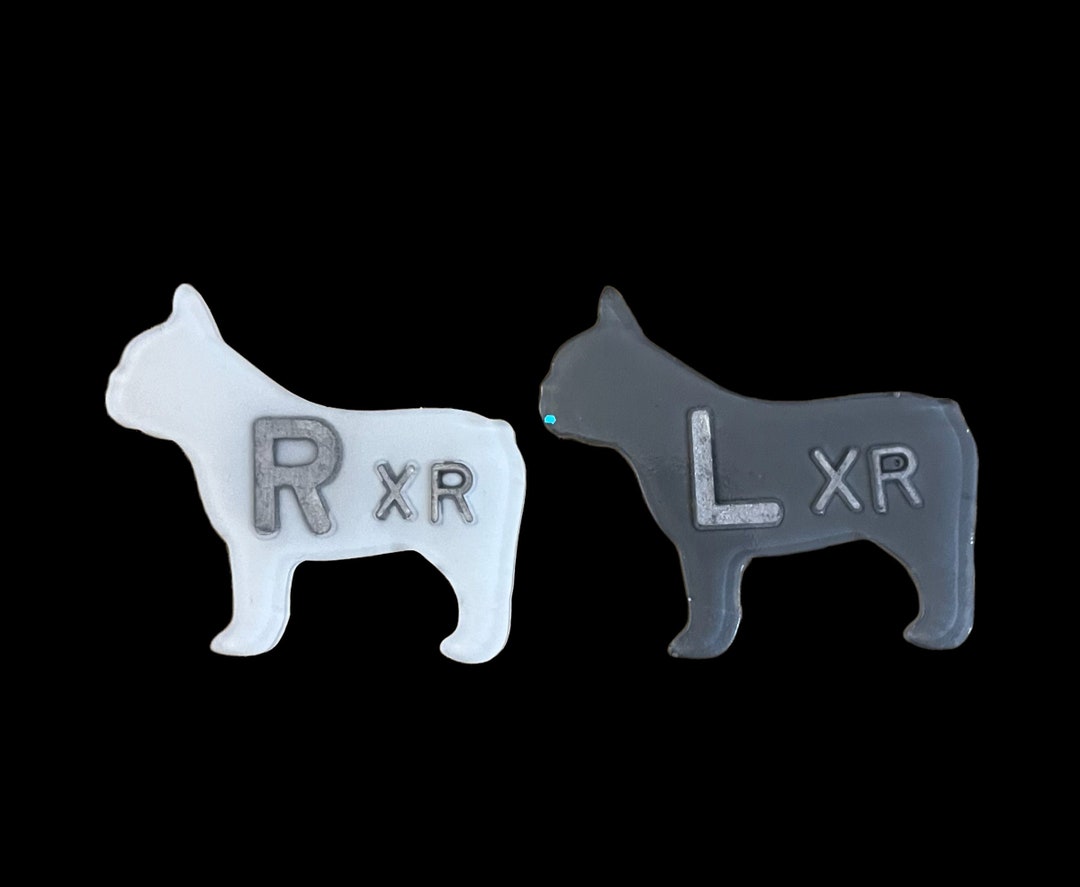 French Bulldog Frenchie X-ray Markers With Initials - Etsy