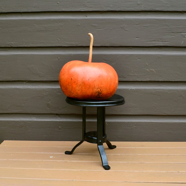 Milking Stool - Etsy