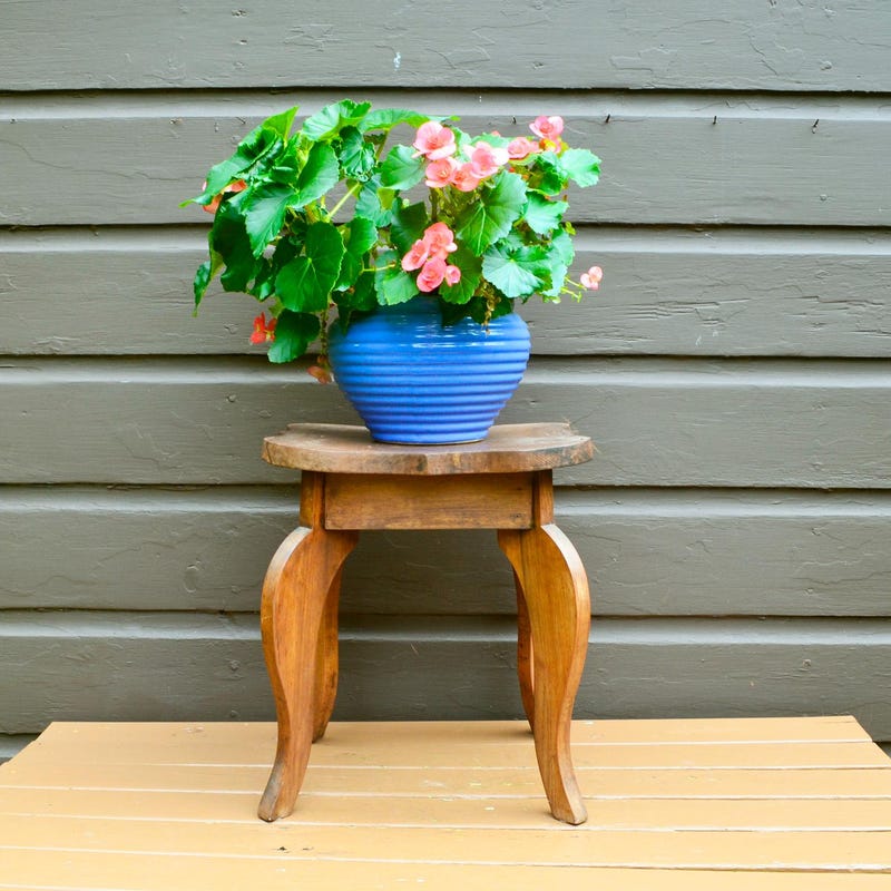 Small Tables for Plants - Etsy
